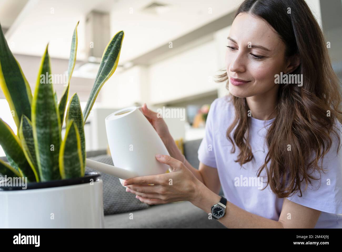 Beautiful woman watering potted plant at home Stock Photo - Alamy