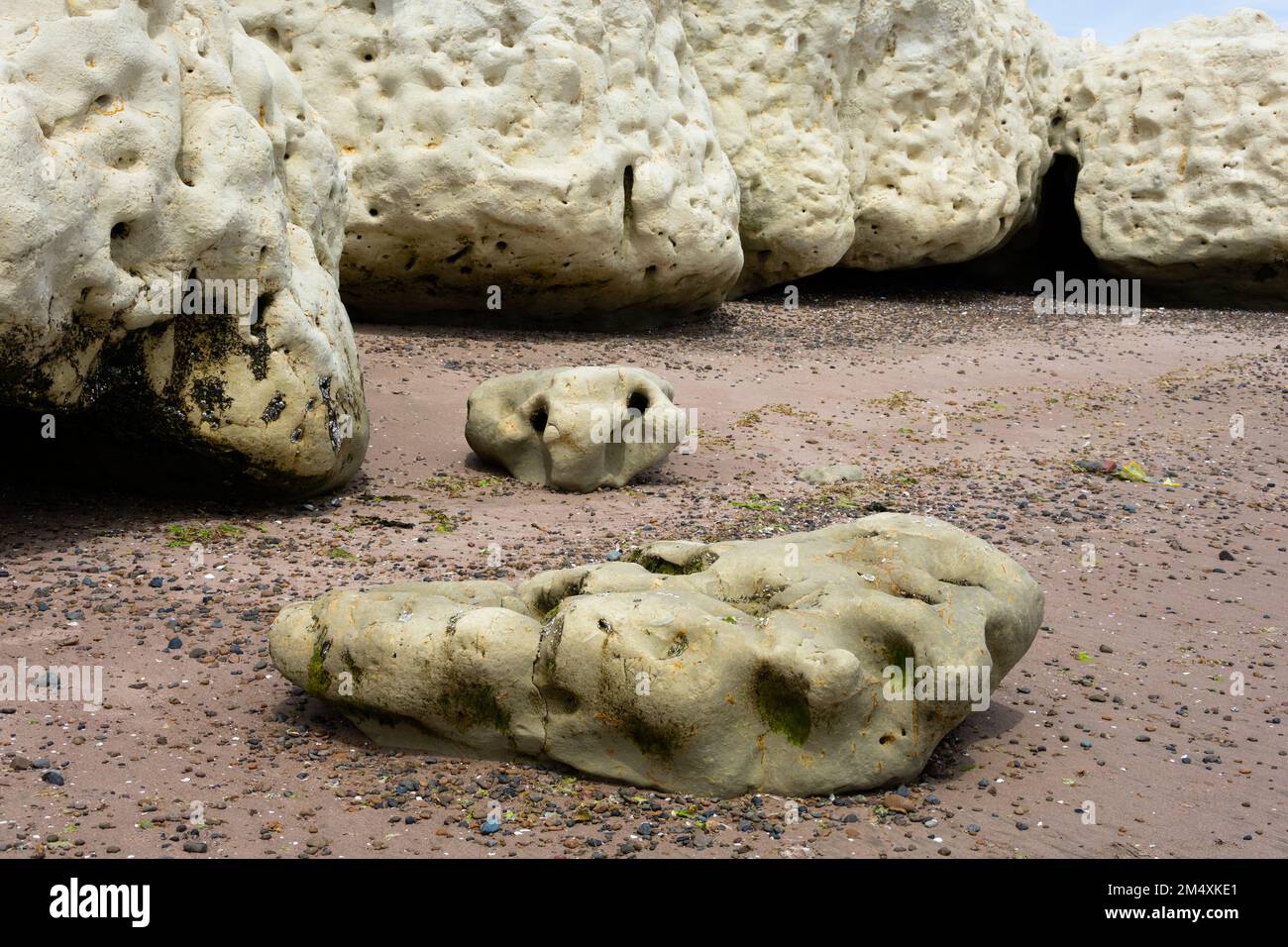 A beach with rocks covered of green moss and seaweed. Puerto Madryn ...