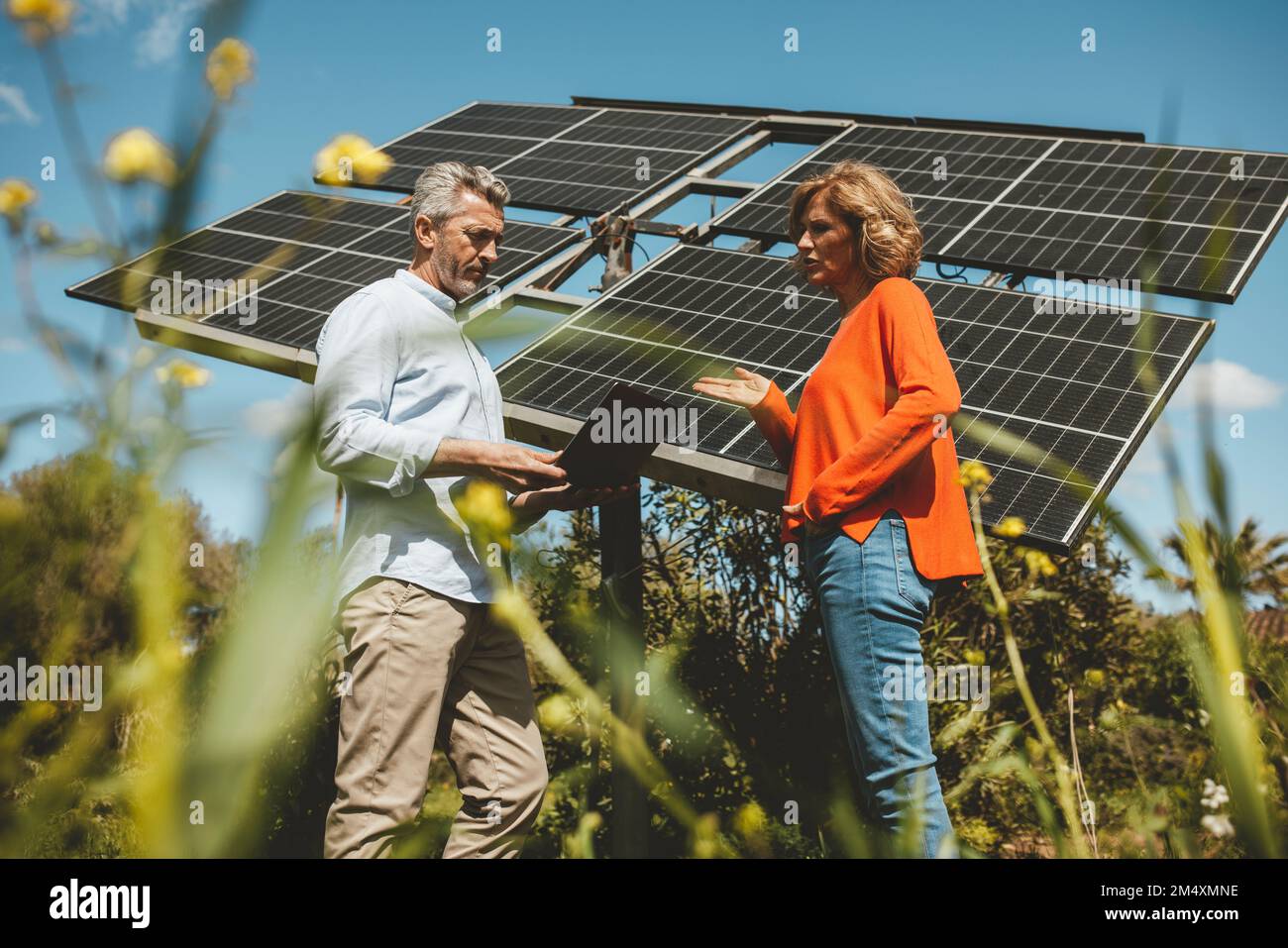 Mature man and woman discussing over solar panels in garden Stock Photo ...