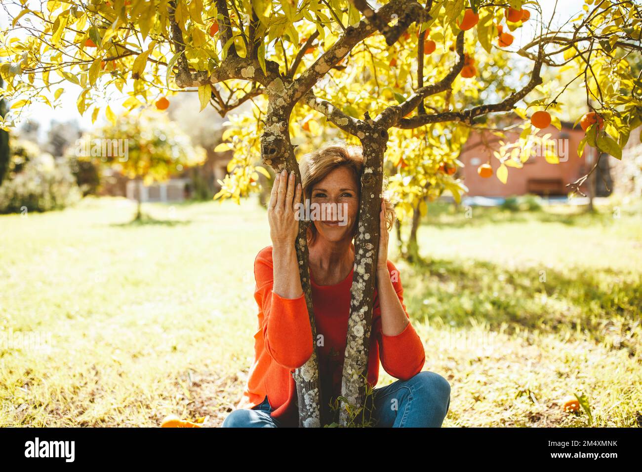 Smiling mature woman sitting under orange fruit tree Stock Photo - Alamy