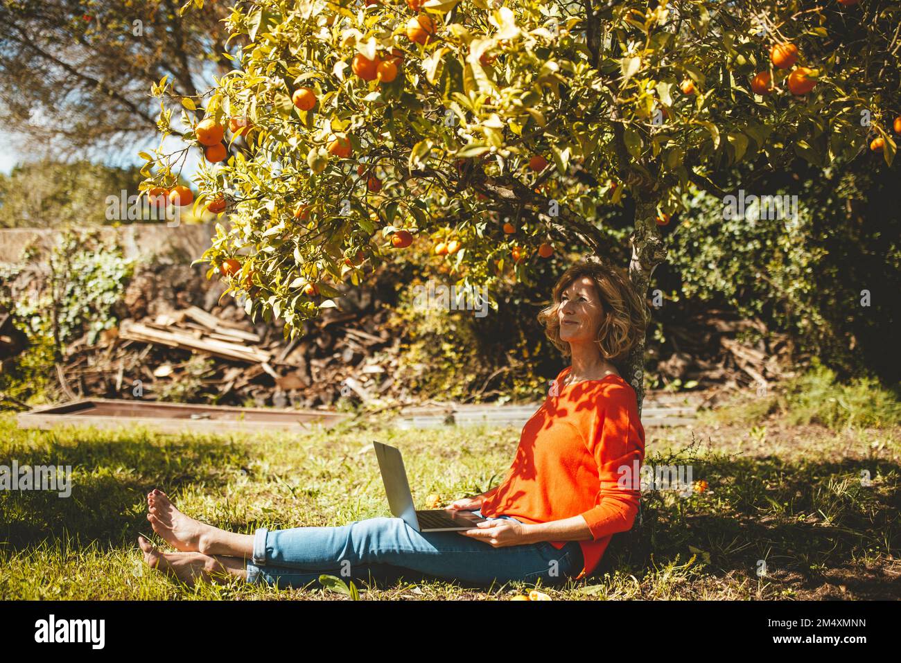 Mature woman sitting with laptop under orange tree Stock Photo - Alamy
