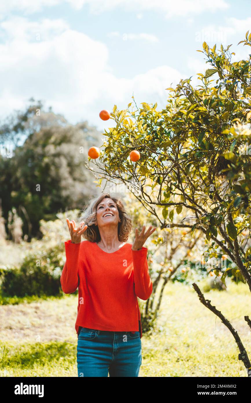 Happy woman juggling oranges standing by tree in garden Stock Photo - Alamy