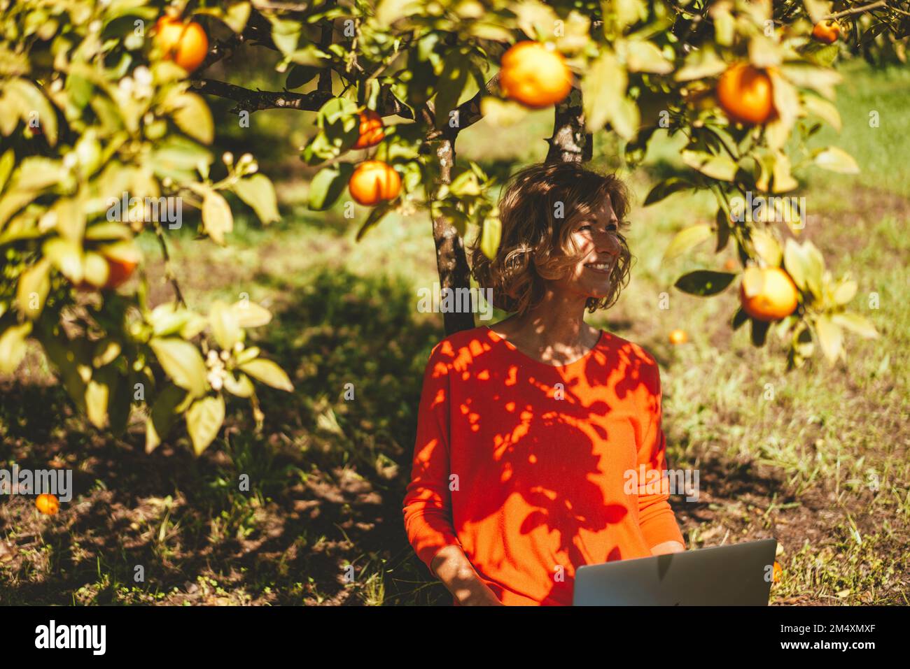 Woman on laptop under tree hi-res stock photography and images - Alamy