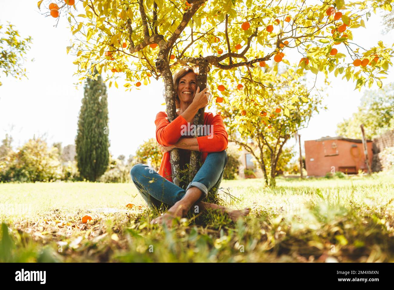 Cheerful mature woman hugging orange fruit tree Stock Photo - Alamy