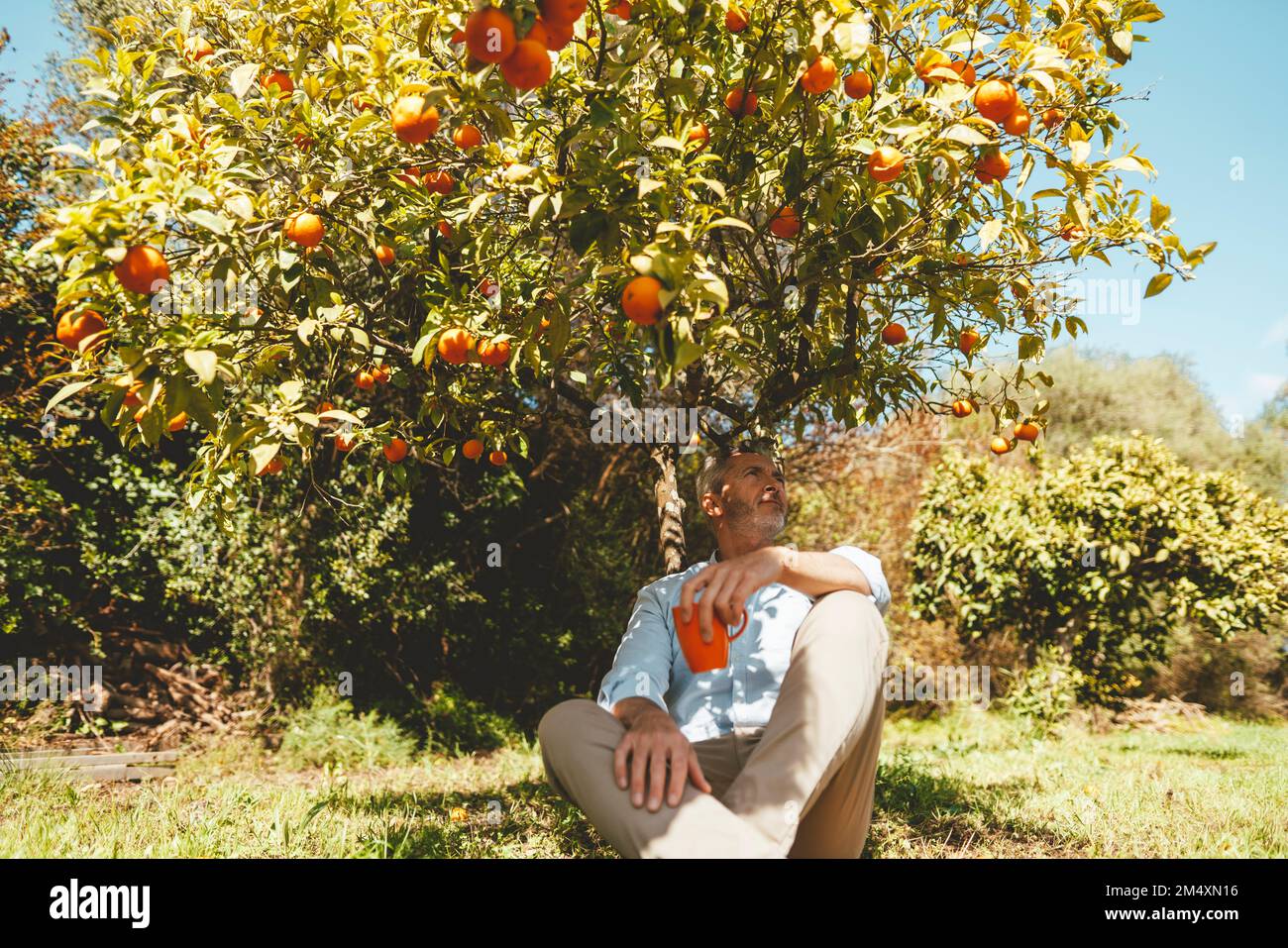 Thoughtful man sitting under tree with coffee cup Stock Photo - Alamy