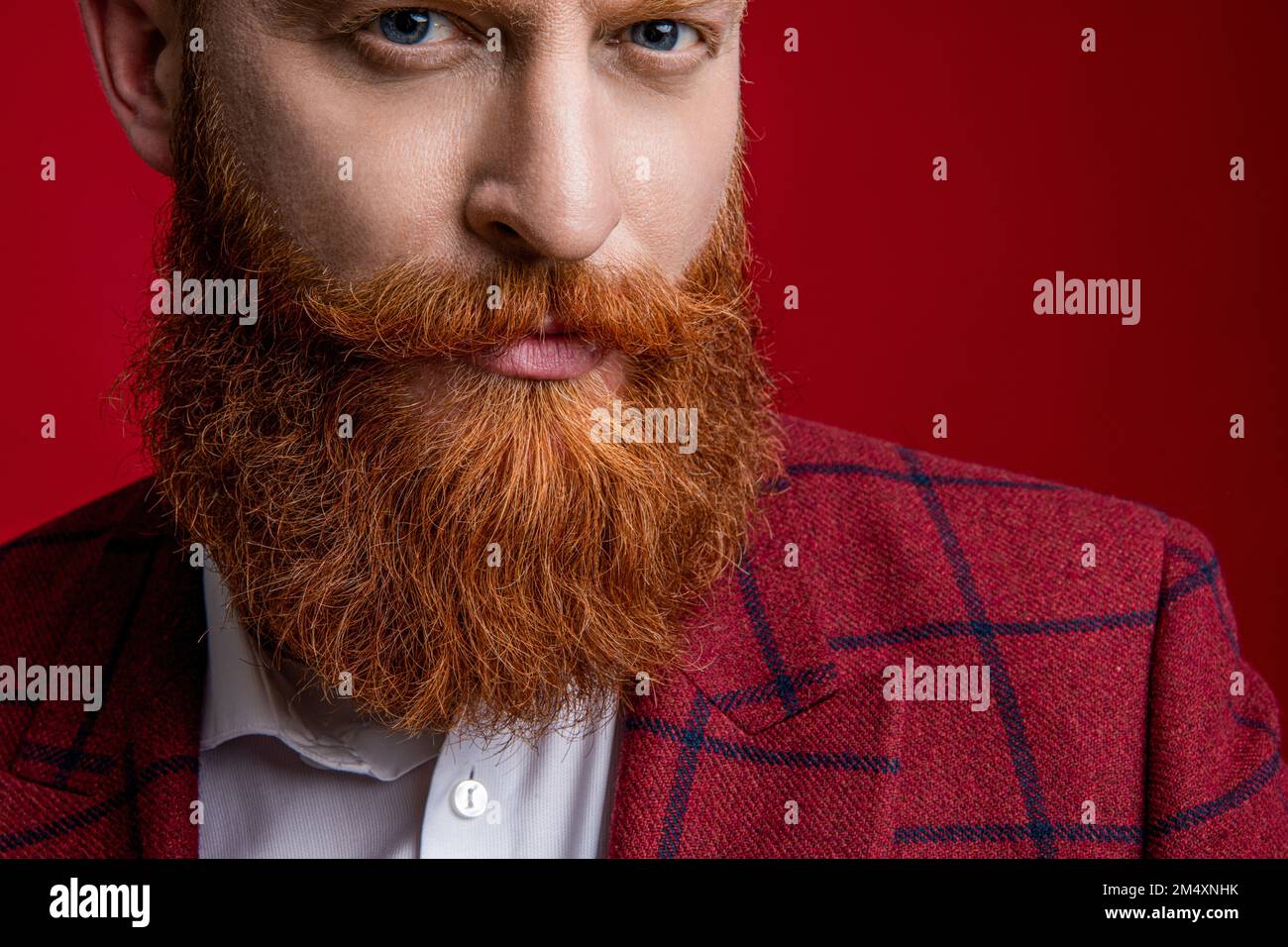 face of unshaven man with mustache in studio. cropped view of unshaven ...