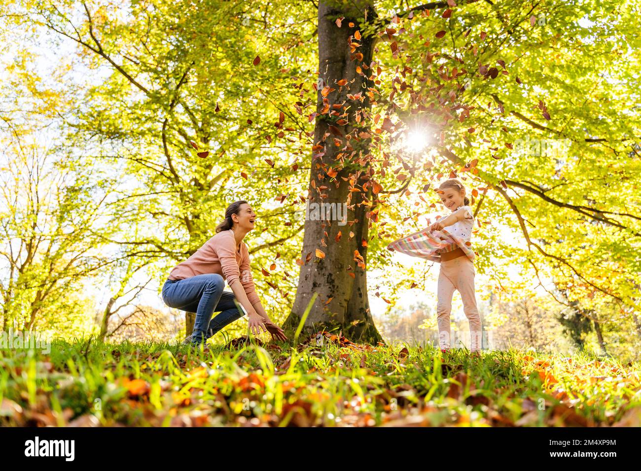 Leaves under the tree hi-res stock photography and images - Alamy