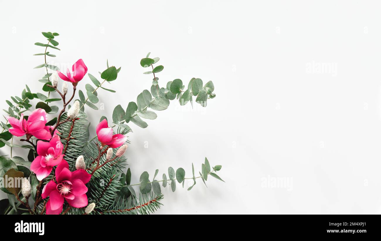 Pink magnolia flowers on fresh eucalyptus and fir twigs. Decorative ...