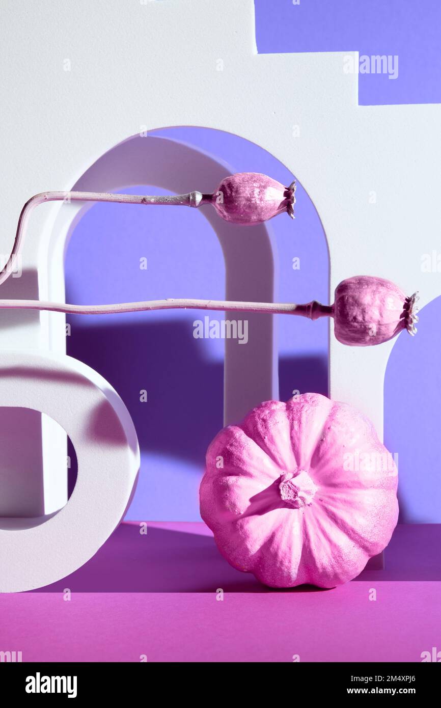 Painted decrative pumpkin and dry poppy. Contemporary stairs and arches ...