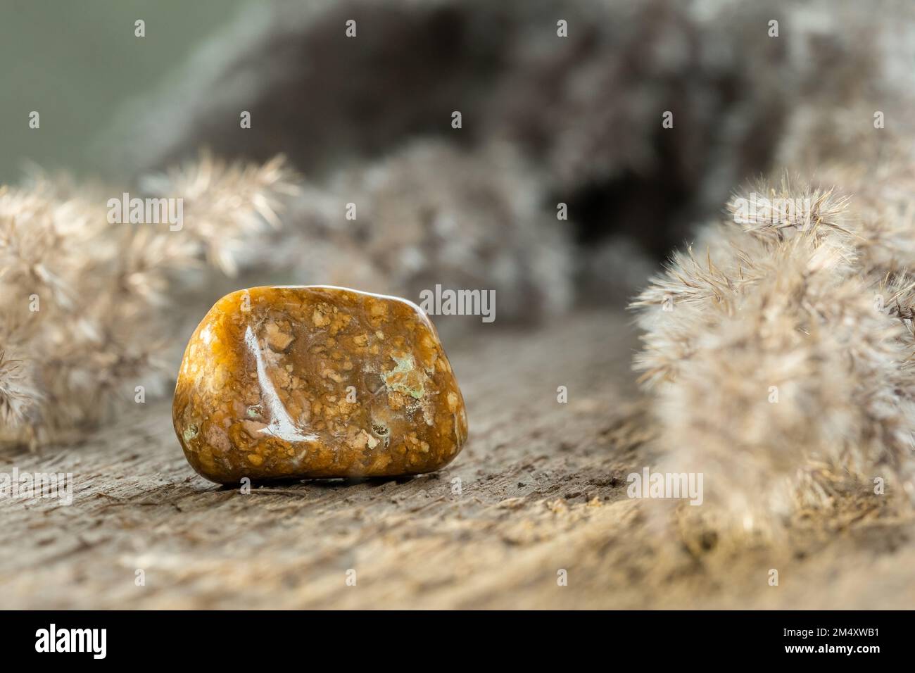 Yellow Jasper Tumbled Gem Stone on Wooden Background. Jasper is Used ...