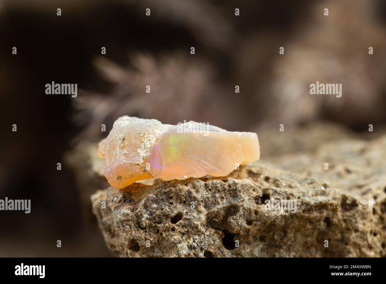 Raw Uncut Piece of Opal Mineral Stone. Geology Gem Crystal Collection ...