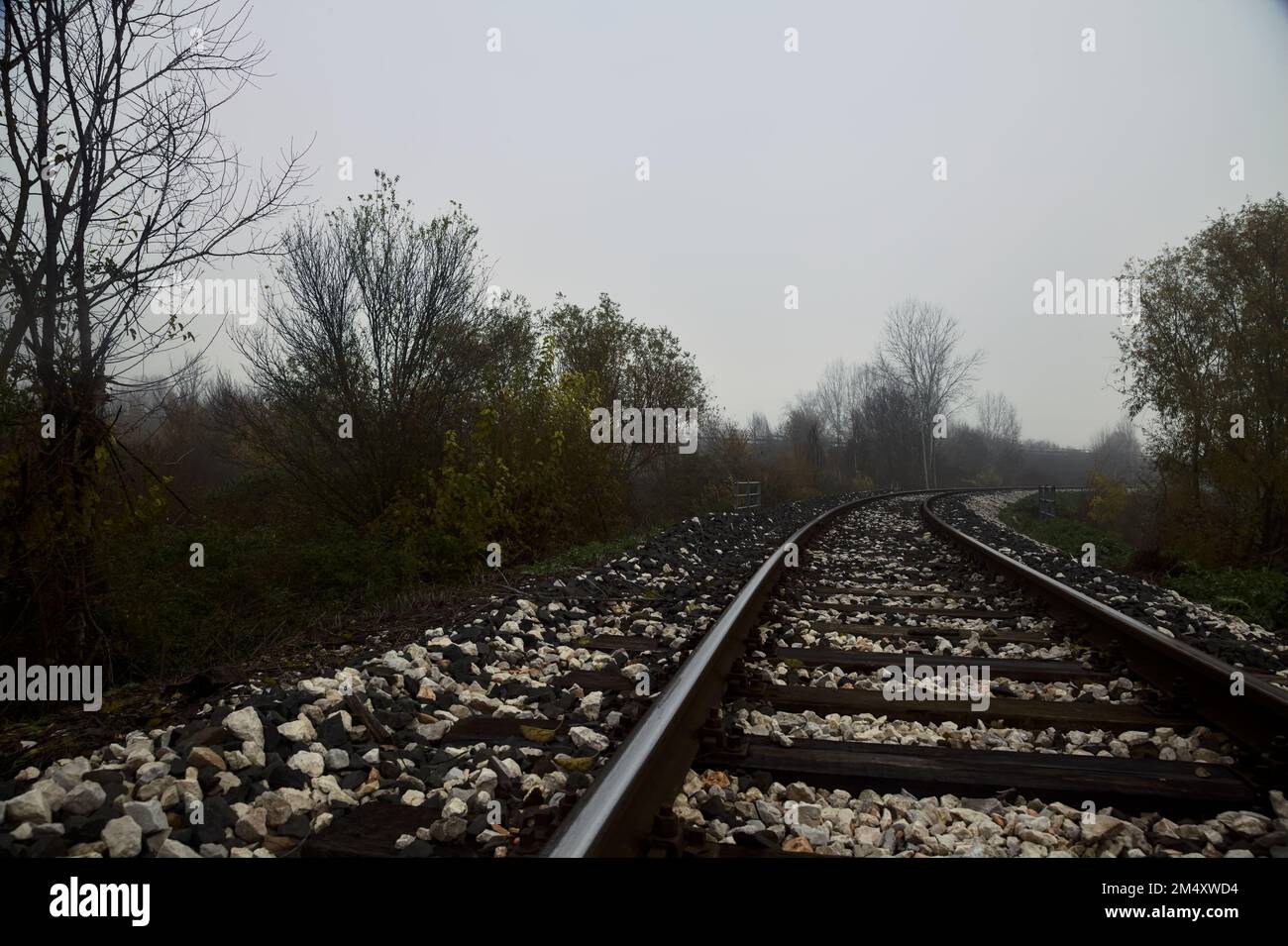 Railroad track on an embankment next to trees on a foggy day in autumn ...