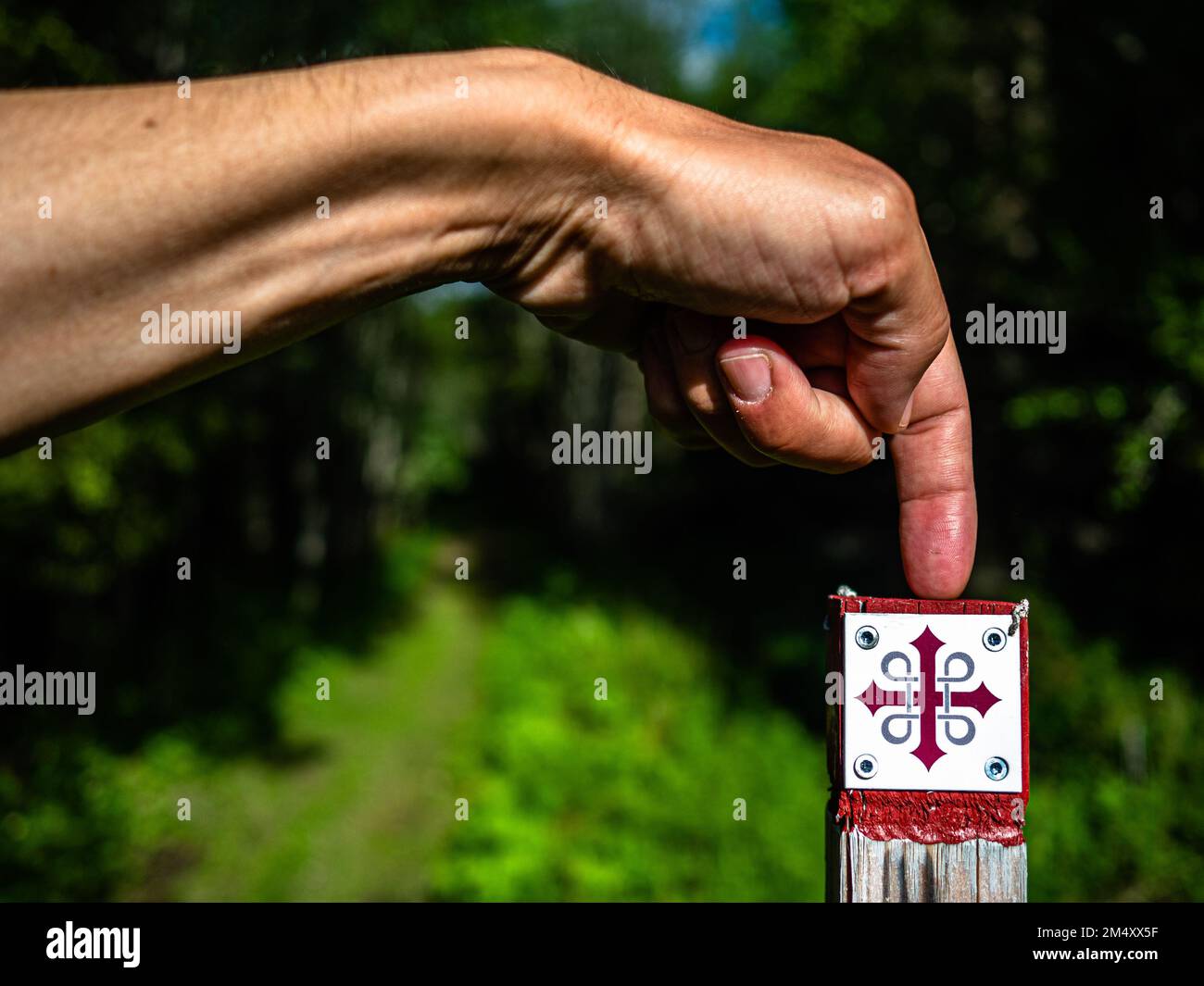 The ‘St. Olavsleden’ trail is signposted to make it easier for pilgrims ...