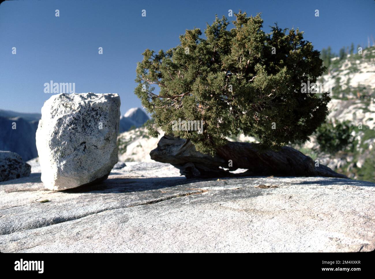 State route 120 hi-res stock photography and images - Alamy