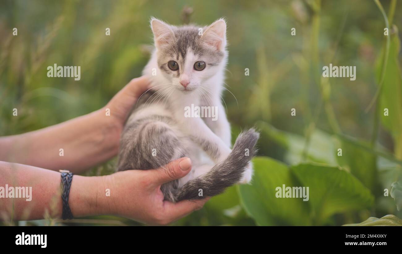 Shivering cat hi-res stock photography and images - Alamy