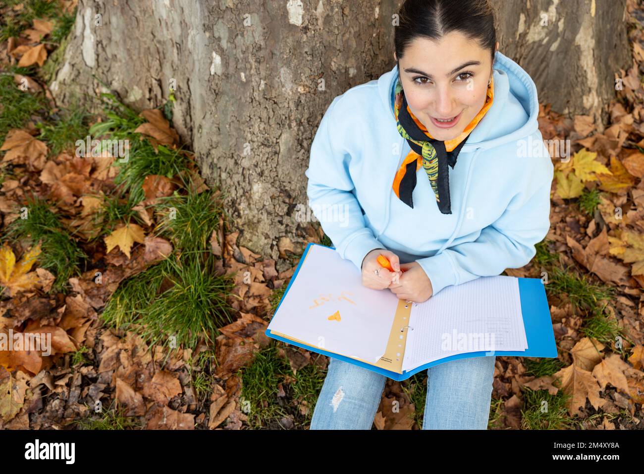 Student study tree hi-res stock photography and images - Alamy