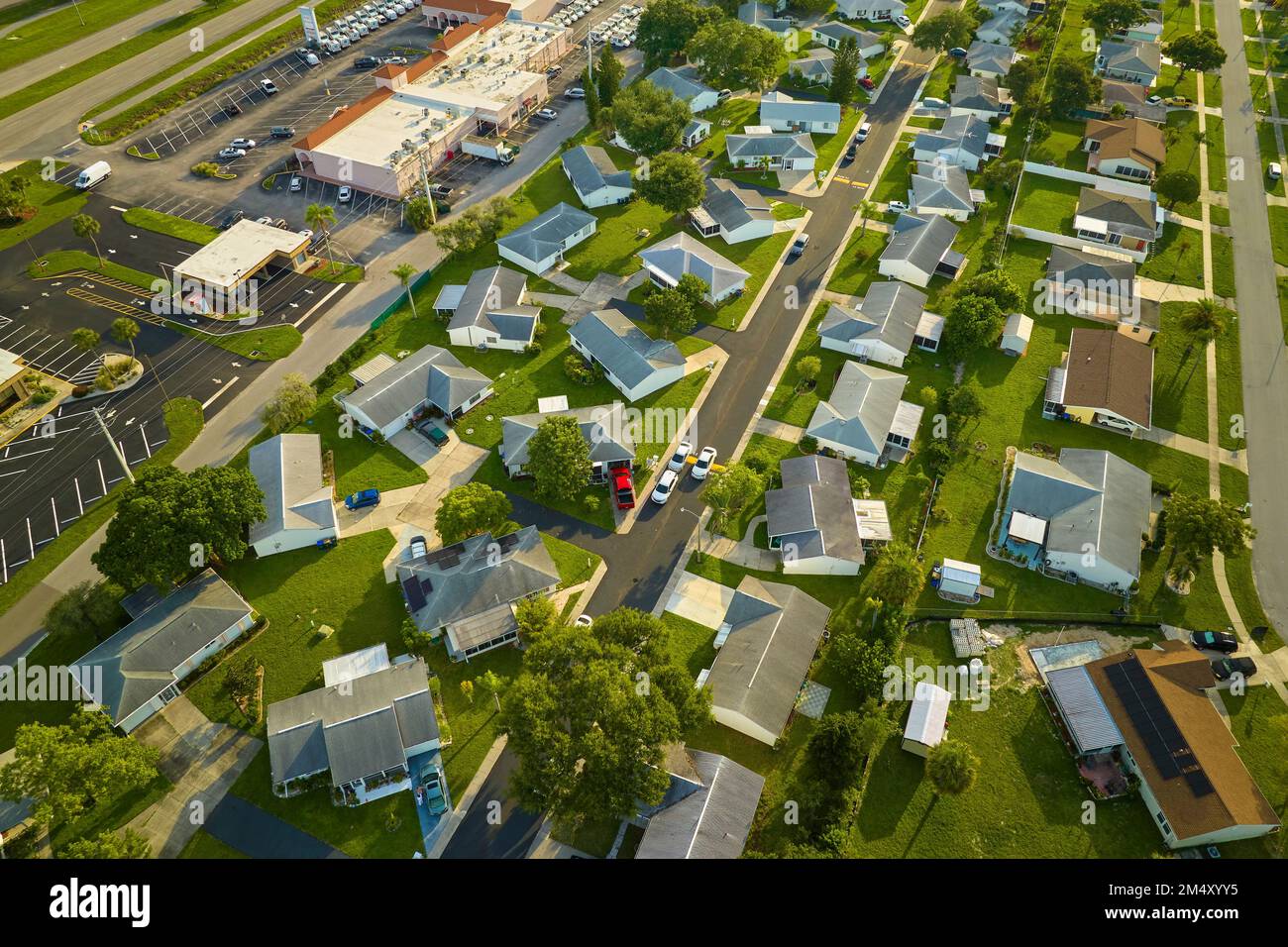 Aerial landscape view of suburban private houses between green palm ...