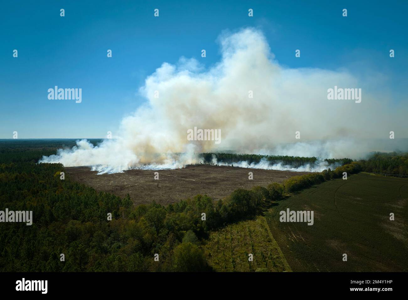 Aerial view of white smoke from forest fire rising up polluting ...