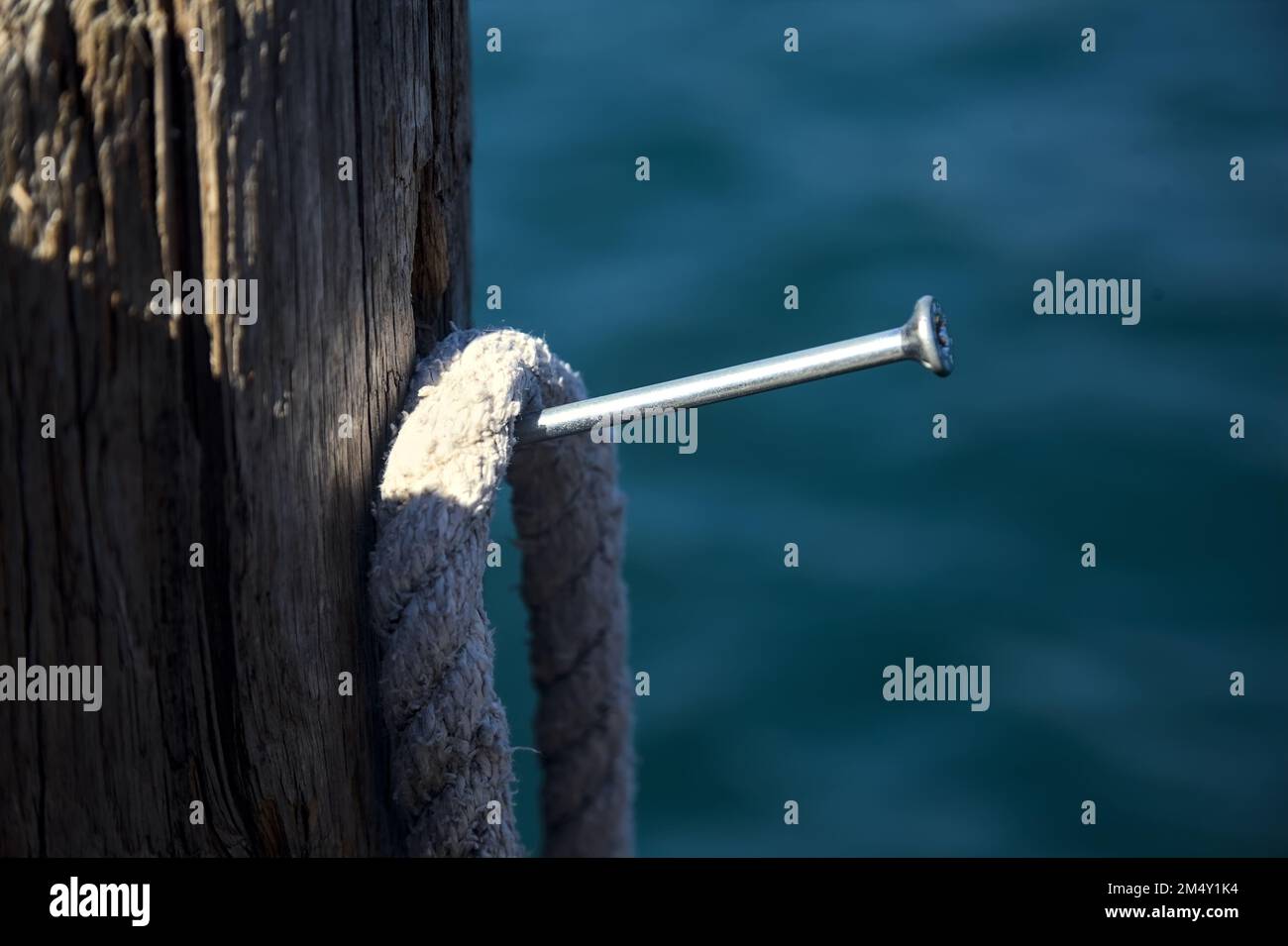 Rope hanging on a nail in a mooring pole by the shore of a lake seen up ...