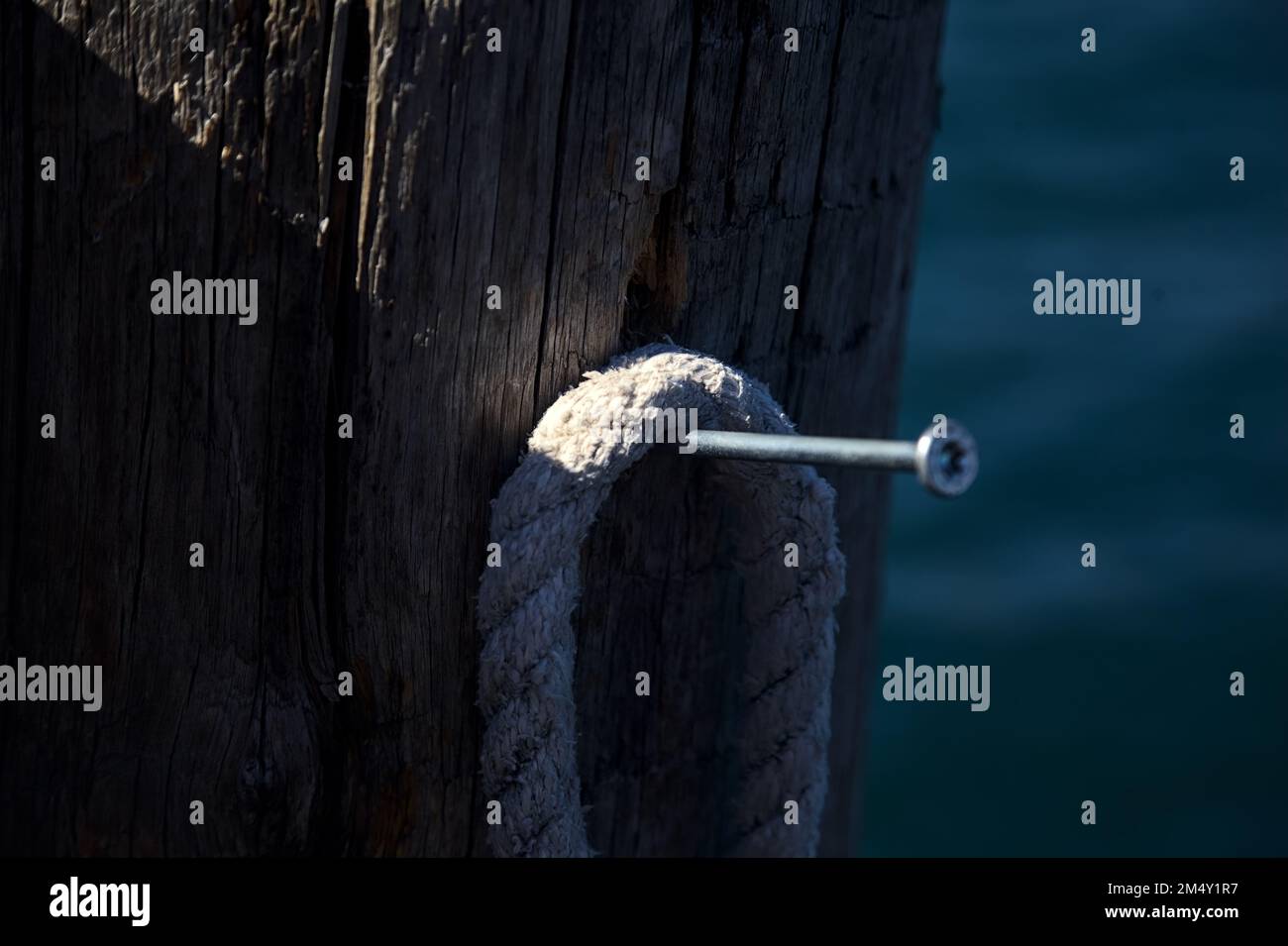 Rope hanging on a nail in a mooring pole by the shore of a lake seen up ...