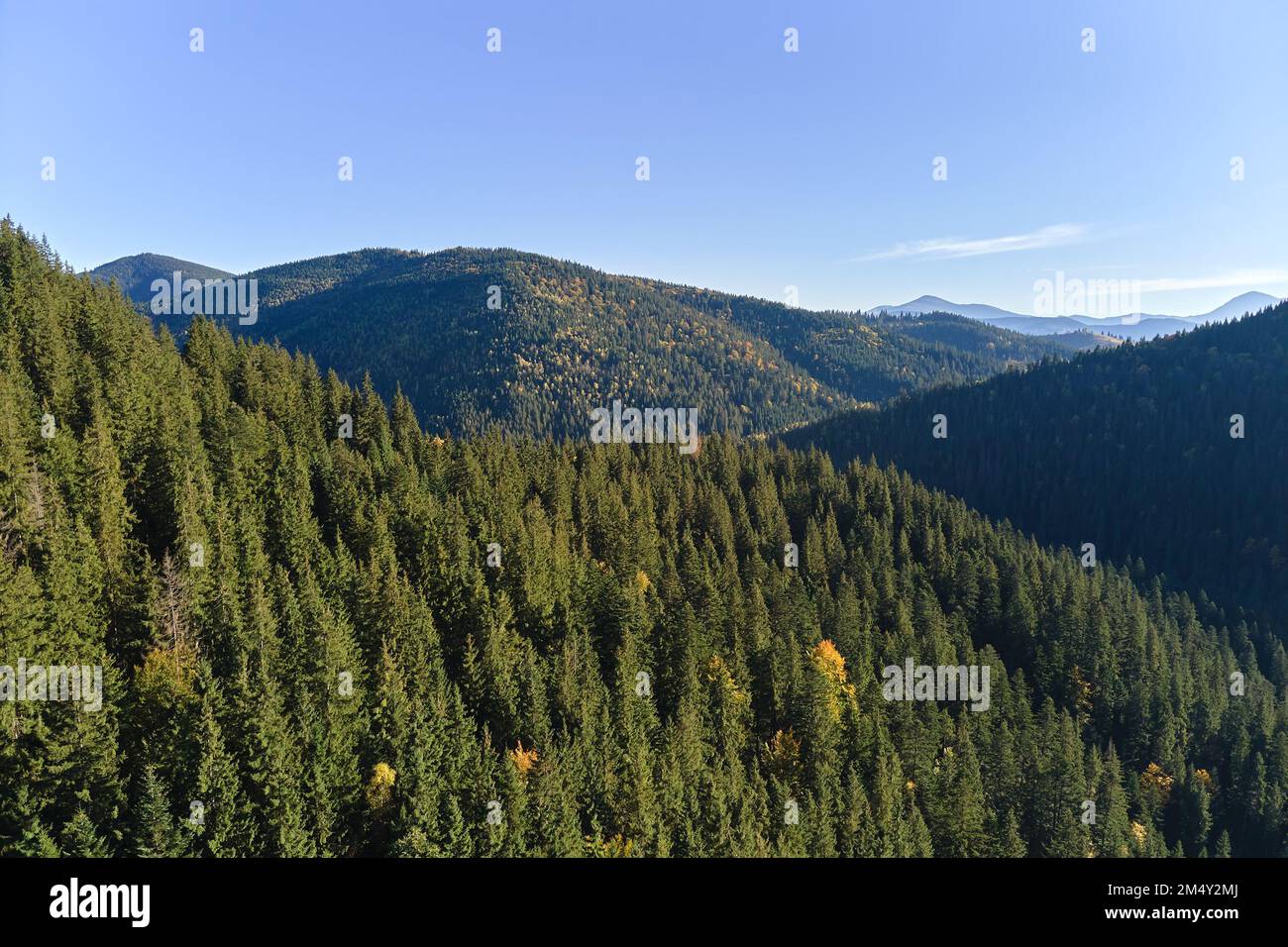 High hills with dark pine woods on autumn bright day. Amazing scenery ...