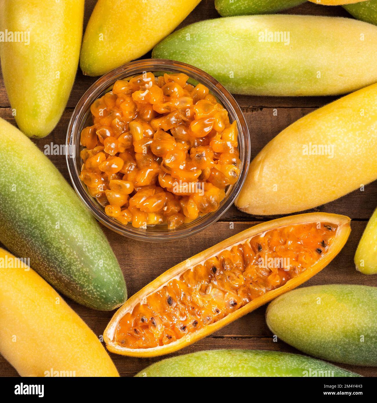 Passiflora tripartita - Curuba exotic fruit of elongated shape Stock ...