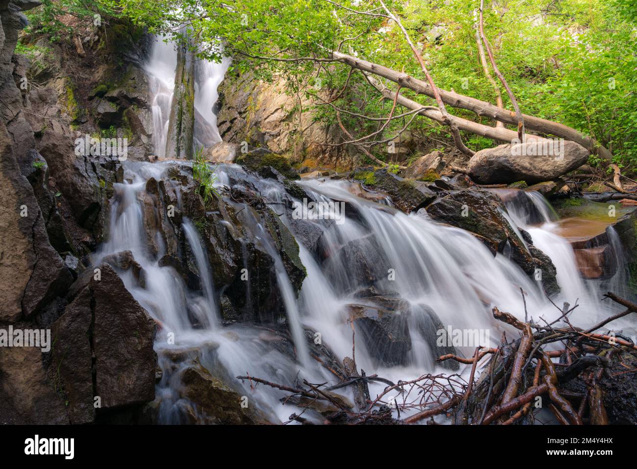 The beautiful waterfall in the forest. Hunter Creek Falls, Reno, Nevada ...