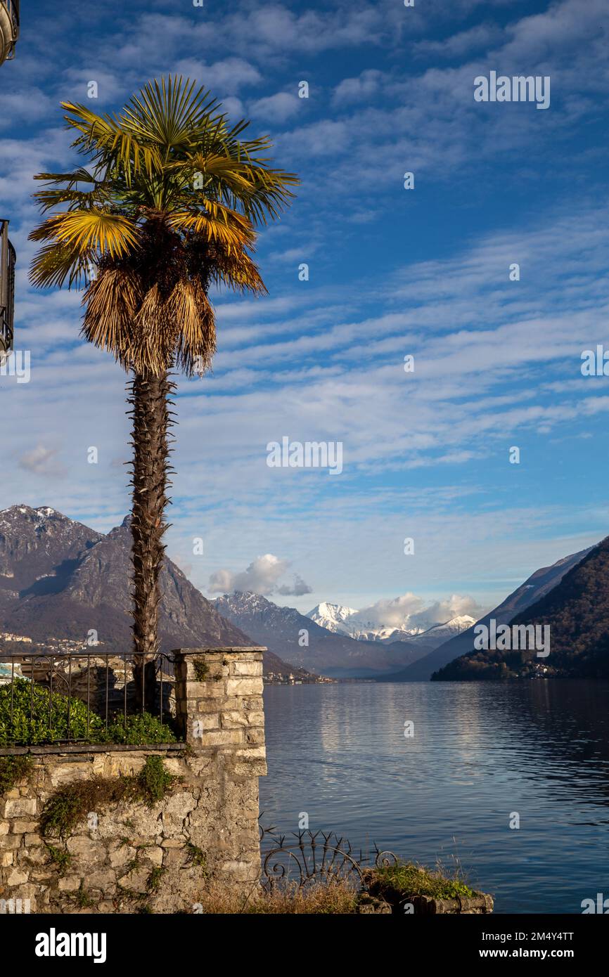 Amazing contrast of Palm tree on lake Lugano in Switzerland an snow ...
