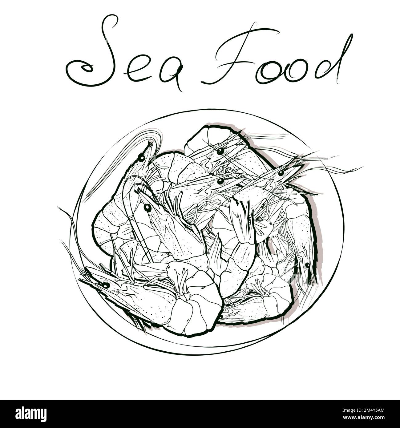 Shrimp hand drawing illustration. Isolated on white background. Seafood ...