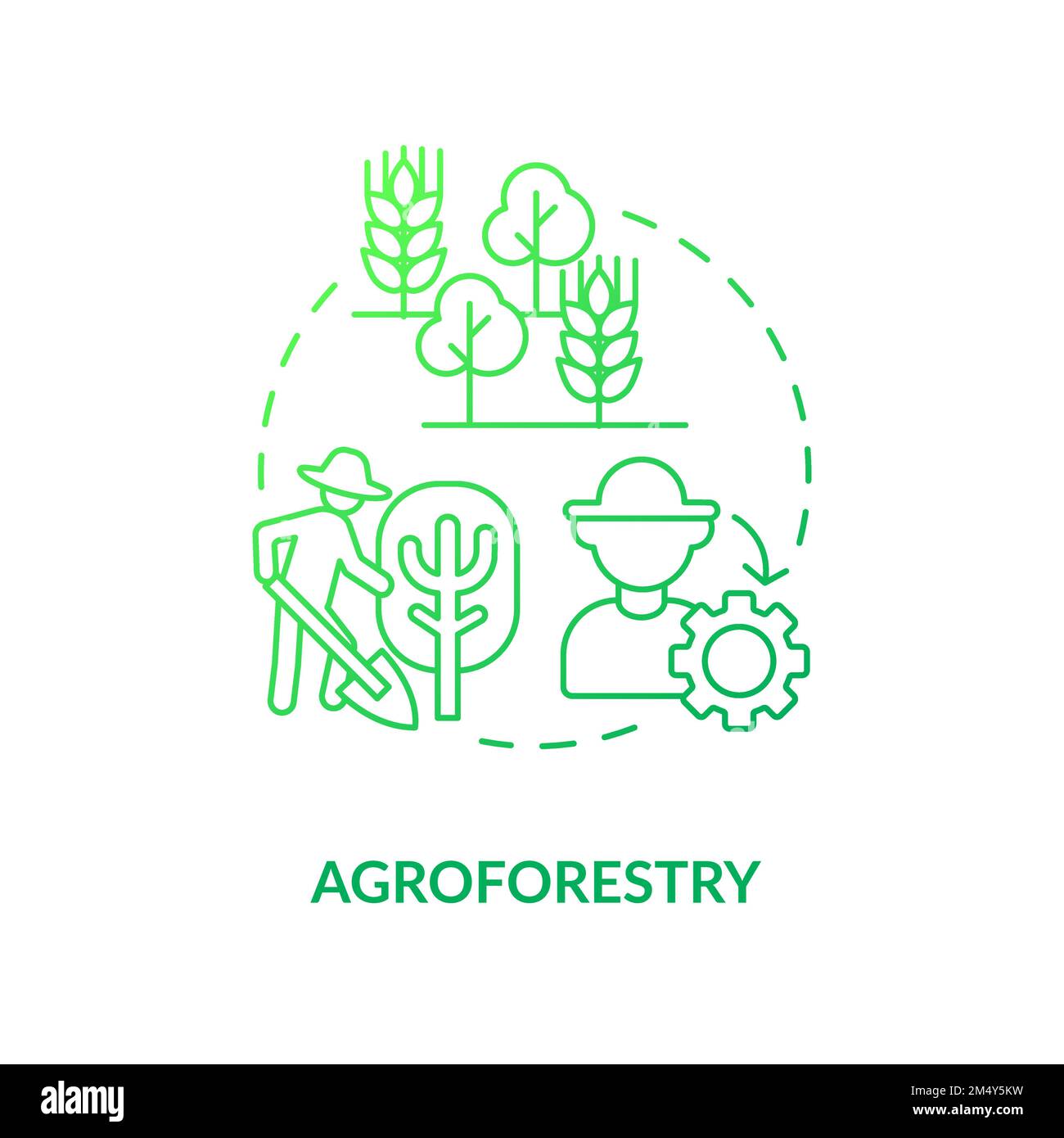 Dr tree Stock Vector Images - Alamy