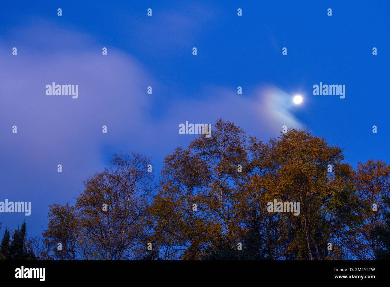 Full moon setting over autumn trees, Rock Island Lodge, Wawa, Ontario ...