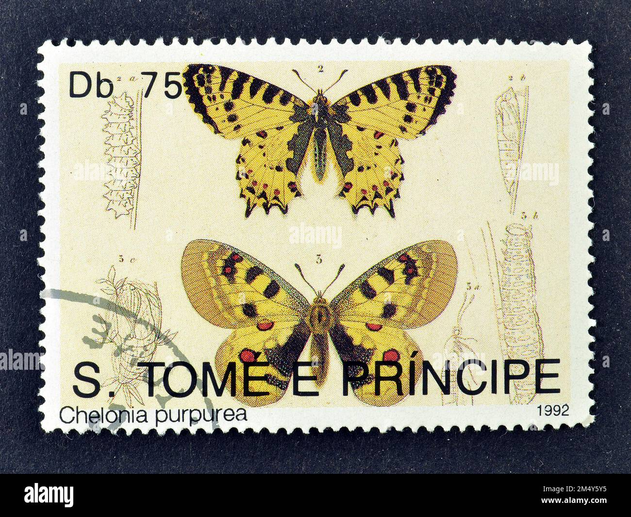Cancelled postage stamp printed by São Tomé and Príncipe, that shows ...