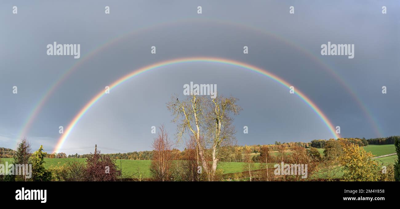 Double Rainbow over Ash Tree in winter in the Scottish Borders United ...