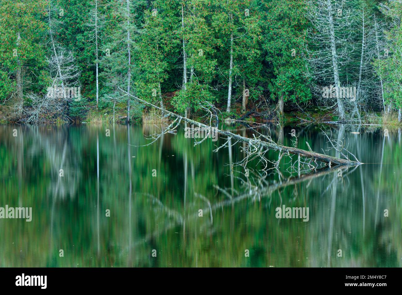 Reflections in a beaver pond, Lake Superior Provincial Park- Trappers ...
