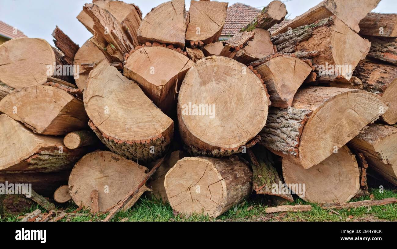 Firewood extraction hi-res stock photography and images - Alamy