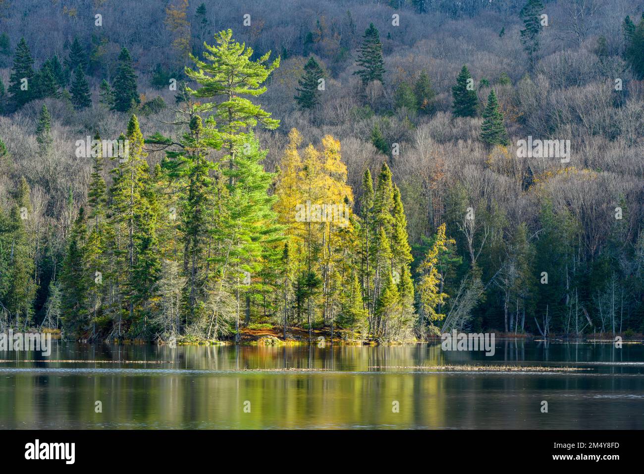 Reflections in a beaver pond, Lake Superior Provincial Park- Trappers ...