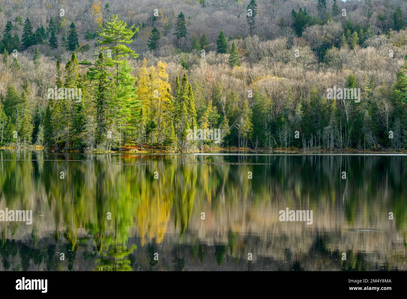 Reflections in a beaver pond, Lake Superior Provincial Park- Trappers ...