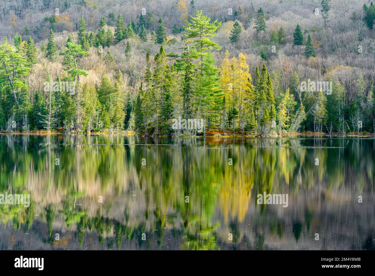Reflections in a beaver pond, Lake Superior Provincial Park- Trappers ...