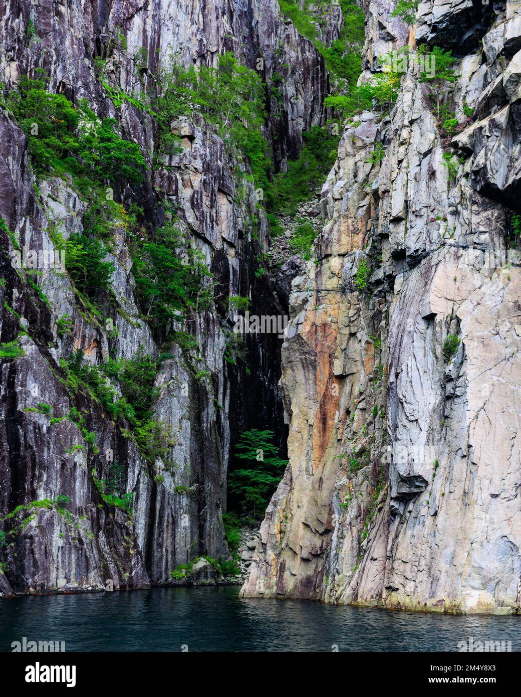 A vertical shot of a narrow valley in between two large rocks covered ...
