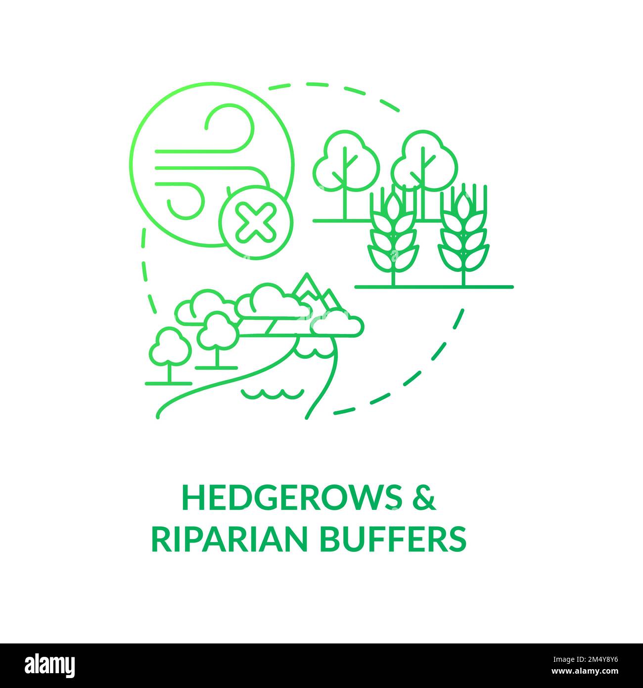 Riparian buffer Stock Vector Images - Alamy