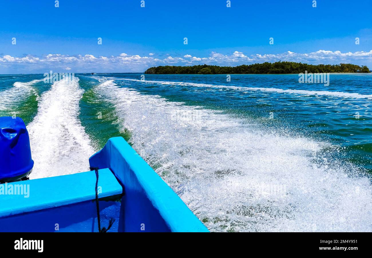 Boat trip with speed boat or ferry from Chiquilá to Isla Holbox island ...