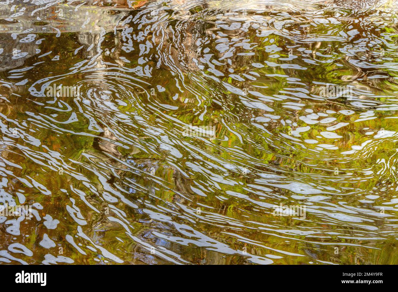 Foam patterns in eddy pool, the Sand River, Lake Superior Provincial ...