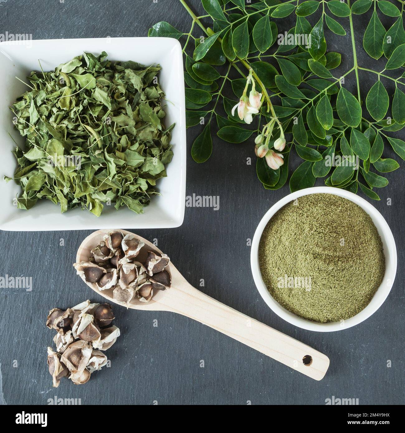 Moringa oleifera medicinal plant - moringa powder, dried leaves and ...