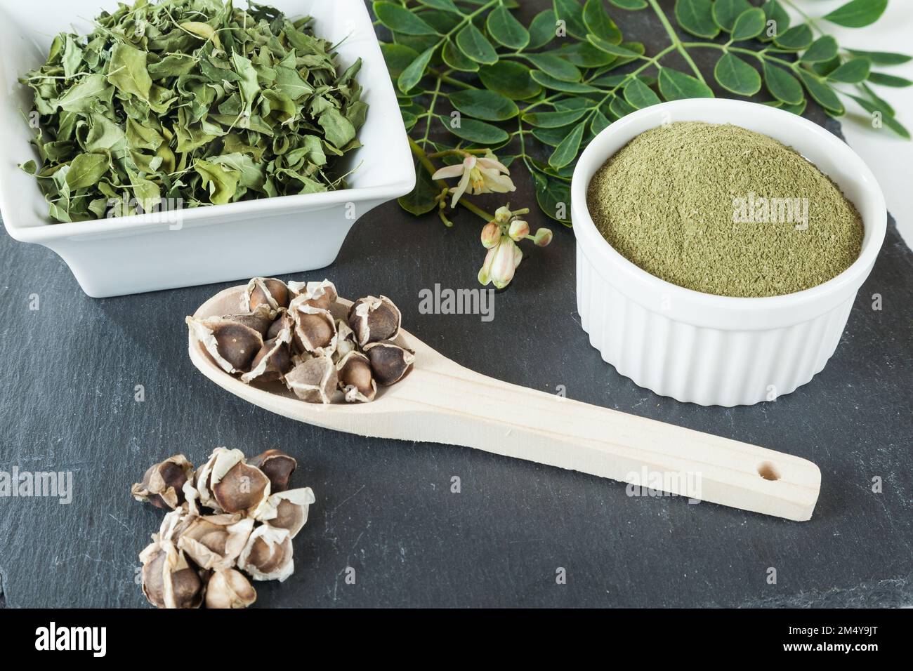 Moringa oleifera medicinal plant - moringa powder, dried leaves and ...