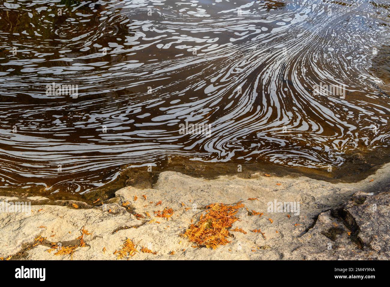 Foam patterns in eddy pool, the Sand River, Lake Superior Provincial ...