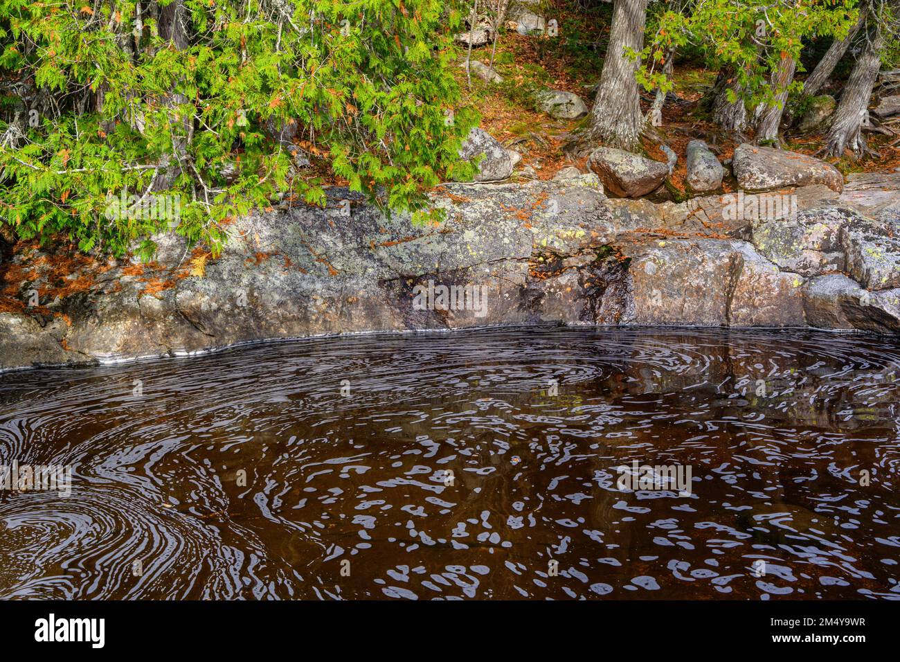 Foam patterns in eddy pool, the Sand River, Lake Superior Provincial ...