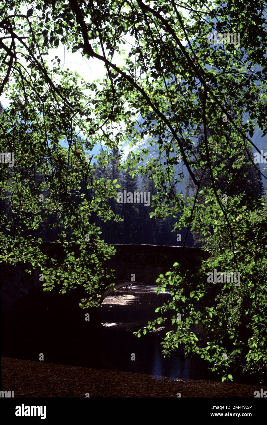 Yosemite National Park CA USA. 9/1984. Merced River Bride and The ...