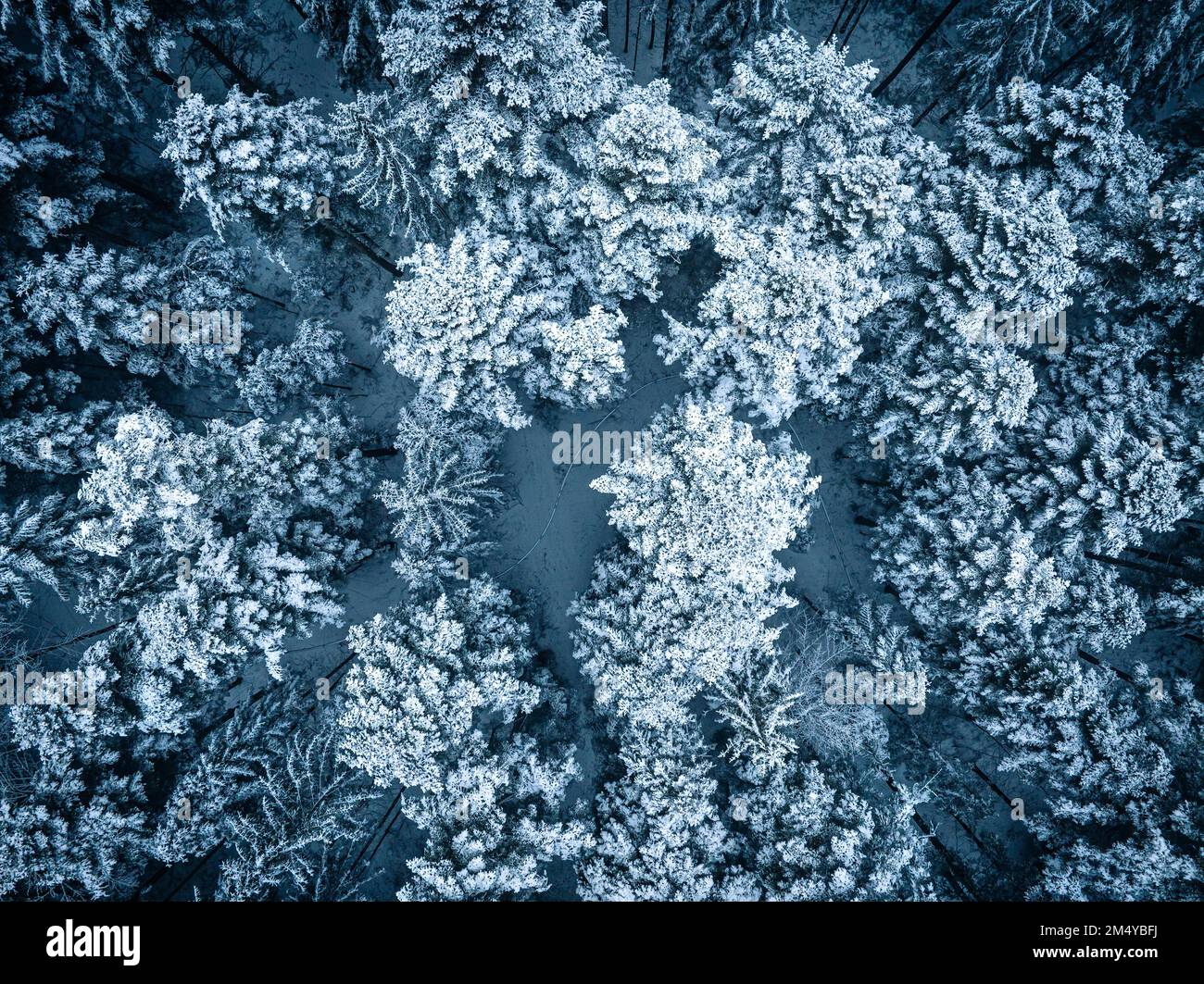 Black forest aerial hi-res stock photography and images - Alamy