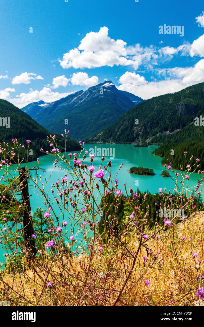 Diablo Lake & Dam; North Cascades National Park; Washington; USA Stock ...