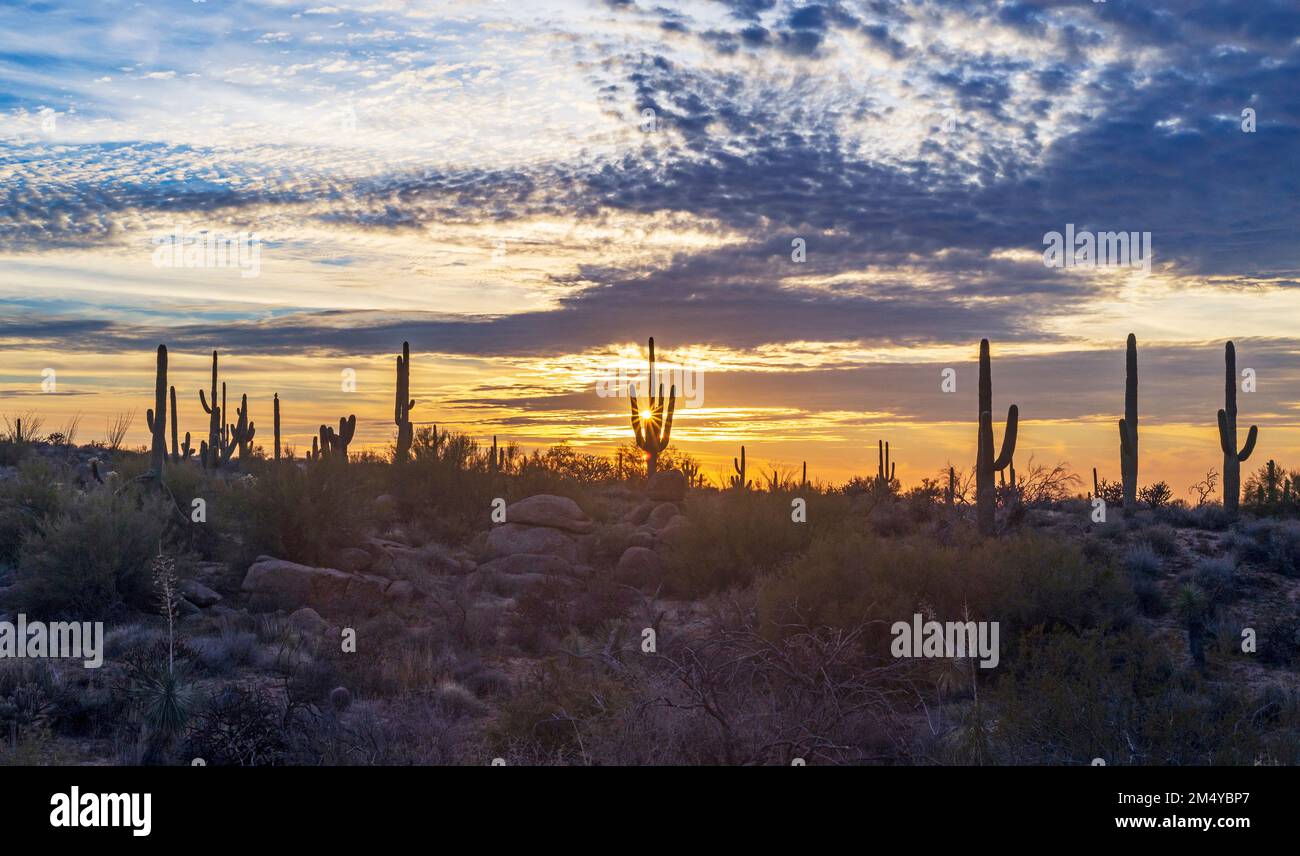 Wide Ratio Desert Sunset Landscape In Arizona At Sunset Stock Photo - Alamy